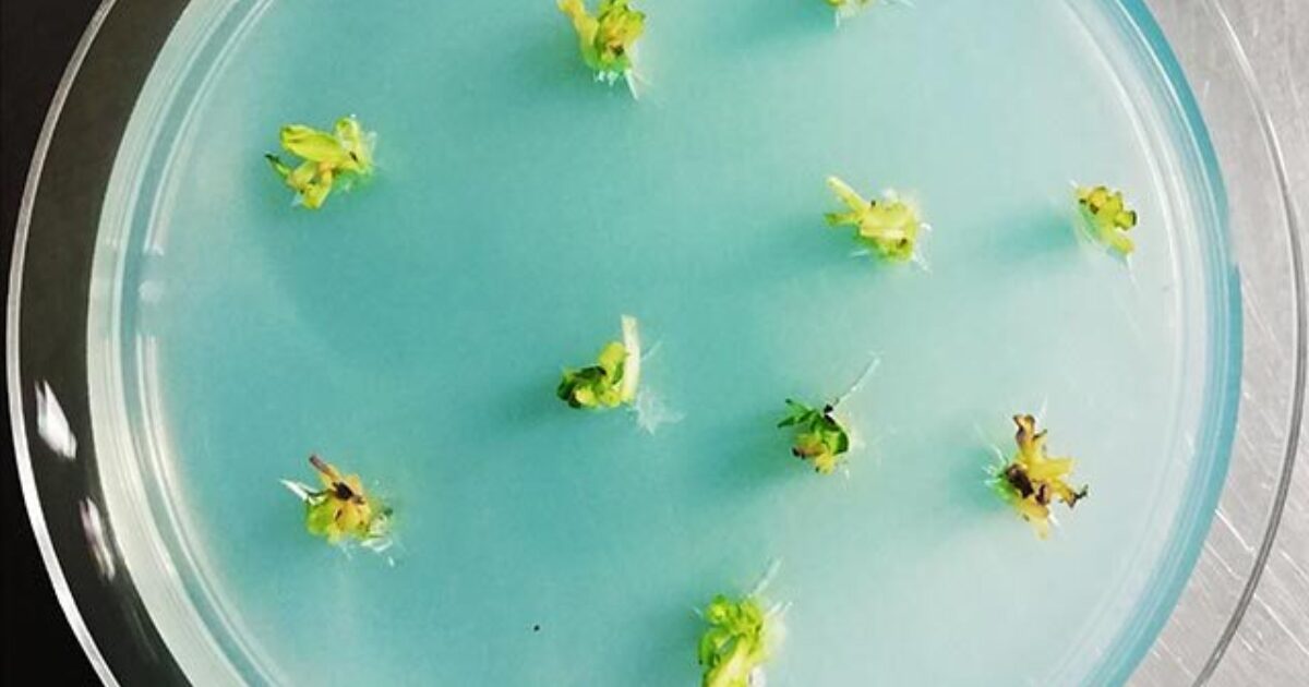 Exhibition: Art meets Science