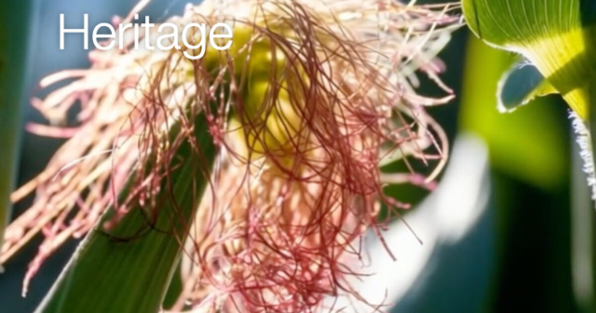 A Future with Heritage