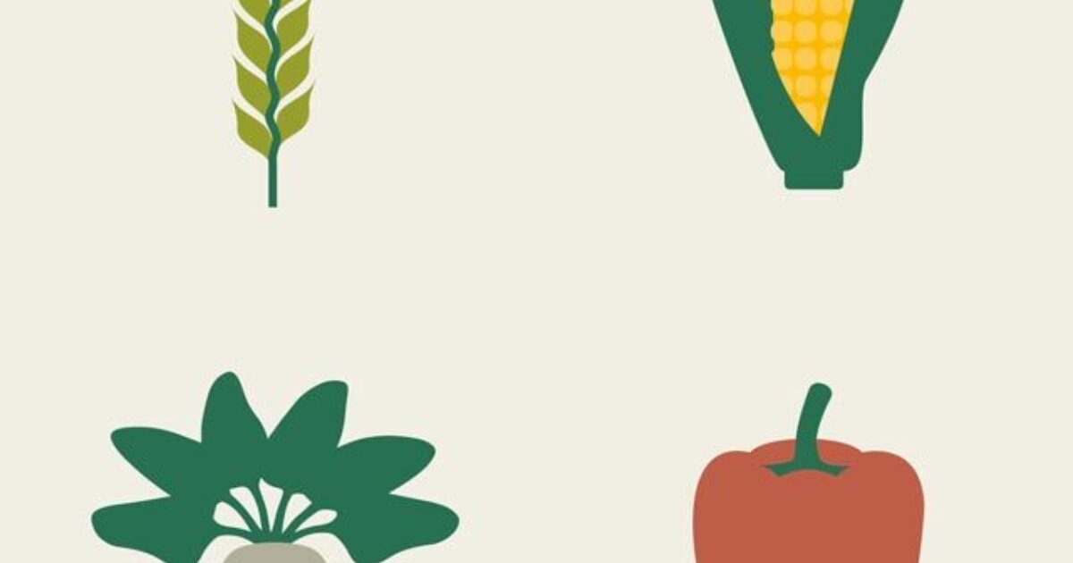 Four segments. One goal: High-yielding seeds