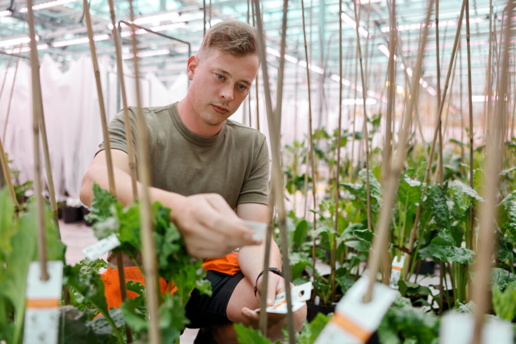 Plant breeding: Between art form and key technology