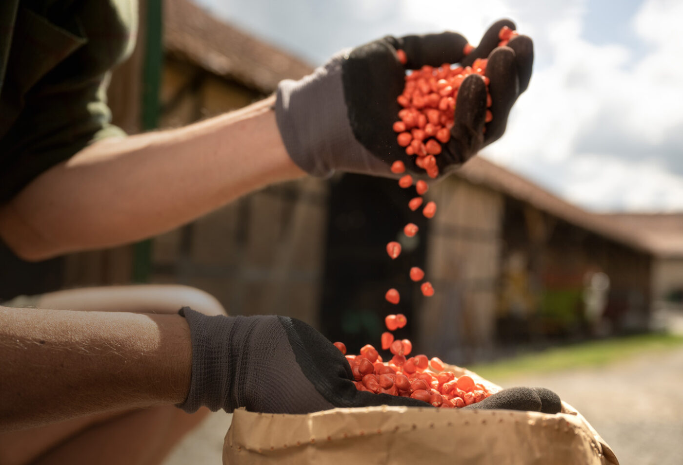 Four segments. One goal: High‑yielding seeds