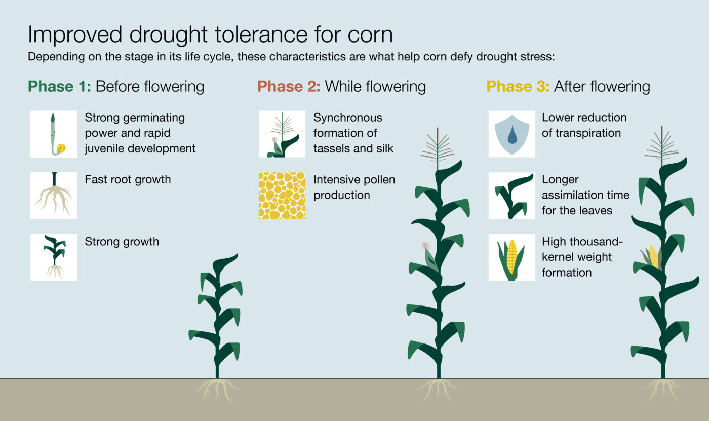 A shared fight against drought